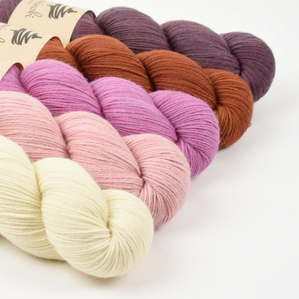 BERRY TURNOVER - Stephen & Penelope