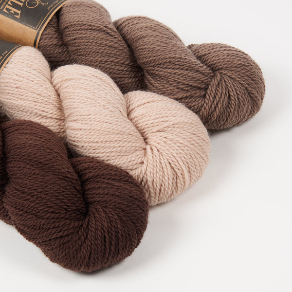 SANDY COFFEE - Stephen & Penelope