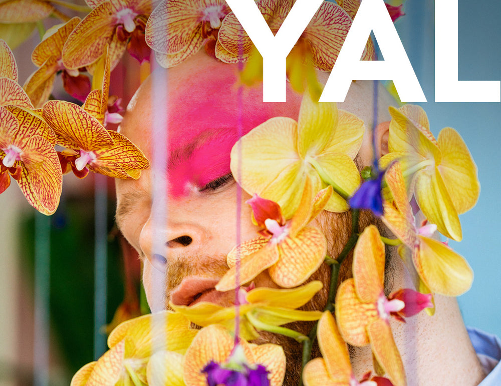 Westknits Kits - Stephen & Penelope