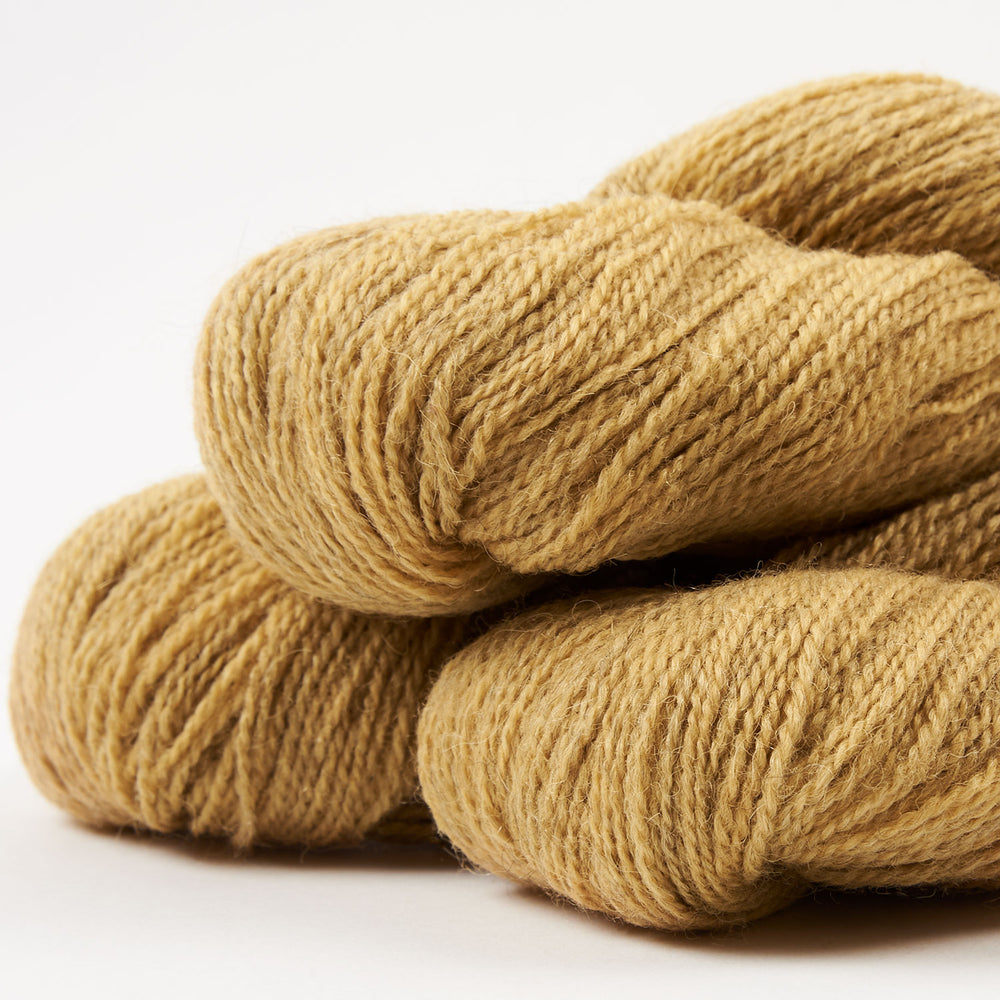 YARN - Stephen & Penelope